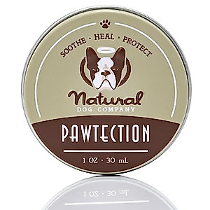 Natural Dog Company PawTection, 1 oz Tin, Veterinarian-Approved, All-Natural Dog Paw Balm and Moisturizer, Nourishing Dog Paw Protector for Rough Terrain and Harsh Temperatures