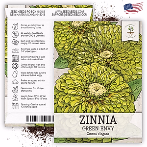 Seed Needs, Lime Green Envy Zinnia Seeds - 250 Heirloom Seeds for Planting Zinnia elegans - Annual Cut Flowers to Grow in a Butterfly Garden Outdoors (1 Pack)