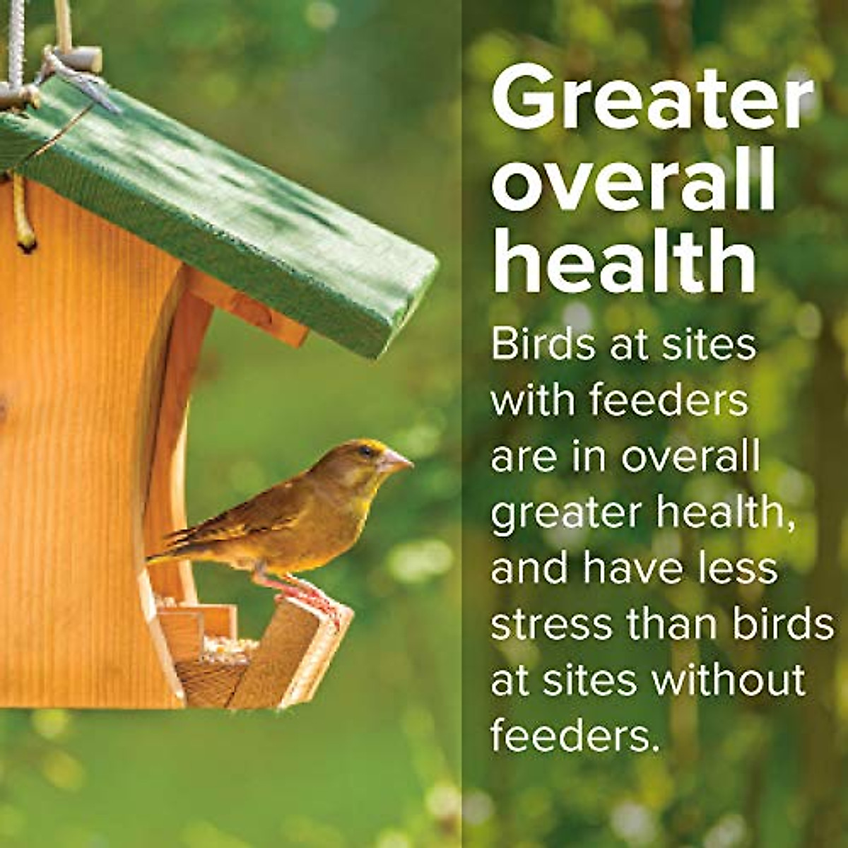 Blue Seal Neat Feast Wild Bird Seed | Convenient Shell-Free Mix | Attracts Wide Variety of Birds | 8 Pound Bag