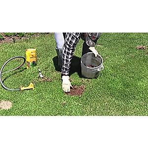 X-Seed Quick and Thick Dog Spot Lawn Repair Mix, 1.75-Pound