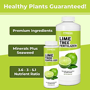 Lime Tree Fertilizer for All Lime and Citrus Trees, Liquid Plant Food 8 oz (250mL)