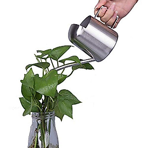 IMEEA Tiny Watering Can for Indoor Plants Bonsai Tree Stainless Steel Small Watering Can Succulents, 11oz/300ml