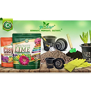 Organic Dolomite Lime - Made in USA - Garden Soil Amendment Fertilizer for Lawns, Plants & Organic Gardens. Calcium/Magnesium Additive. Safely Raise & Stabilize pH. Cures Blossom End Rot in Tomatoes