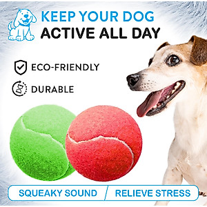 Pacific Pups Products Balls for Dogs - 6 Balls Dog Ball Pack - Small Dog Balls & Dog Balls for Medium Dogs - Dog Tennis Balls, Squeaky Balls for Dogs & Dog Treat Toys