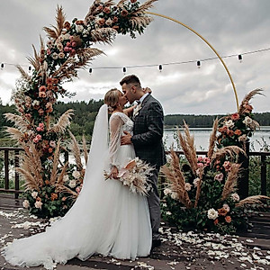 6.6FT Balloon Arch Stand Metal Round Backdrop Stand with Thickened Water Bags 50pcs Balloon Clip Storage Bag Circle Balloon Arch Frame Wedding Arches for Ceremony Birthday Party Baby Shower Decoration