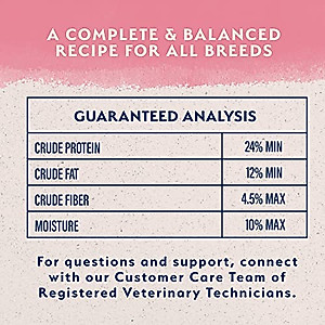 Natural Balance Limited Ingredient Adult Dry Dog Food with Healthy Grains, Salmon & Brown Rice Recipe, 12 Pound (Pack of 1)