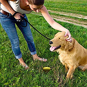 Simple Solution Pee Post Outdoor Potty Training Aid | Pheromone-Infused Yard Stake with GO HERE™ Technology | 13 Inch Stake