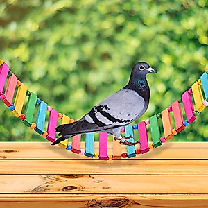 PATKAW Wooden Toys Parrot Toys Parrot Toys of 2 Chicken Swing Toy Pet Chicken Swing Toys Wood Chicken Swing Chicken Swing Toys Chicken Ladder: Climbing Climbing Toys Climbing Toys Parakeet Toys