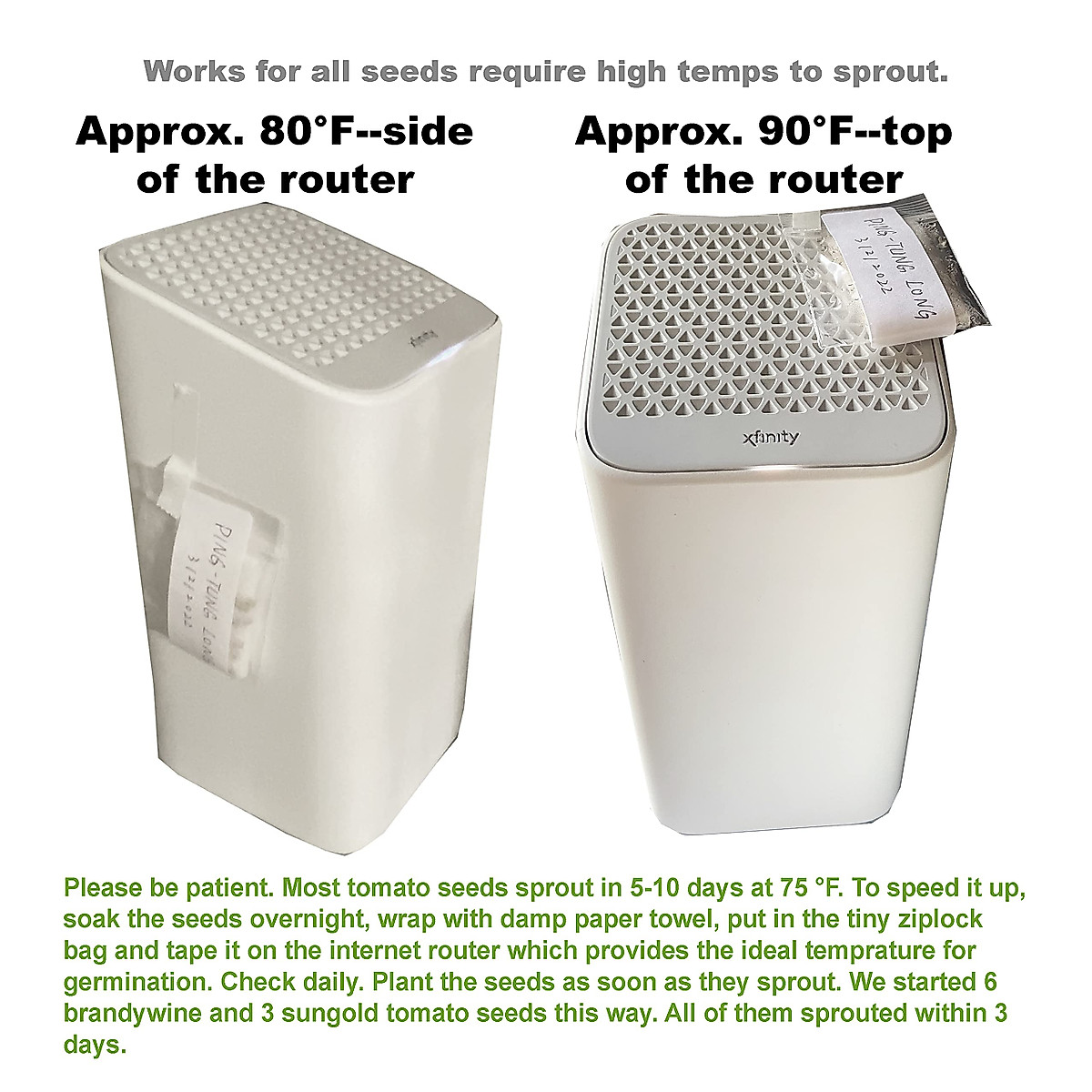 For 2024!Best Taste Cherry Tomato Seeds for Planting-Sun Gold.Non GMO Garden Seeds for Planting Vegetables Seeds at Home Vegetable Garden & Hydroponics Seed Pods:10ct Sungold Cherry Tomato Plant Seeds