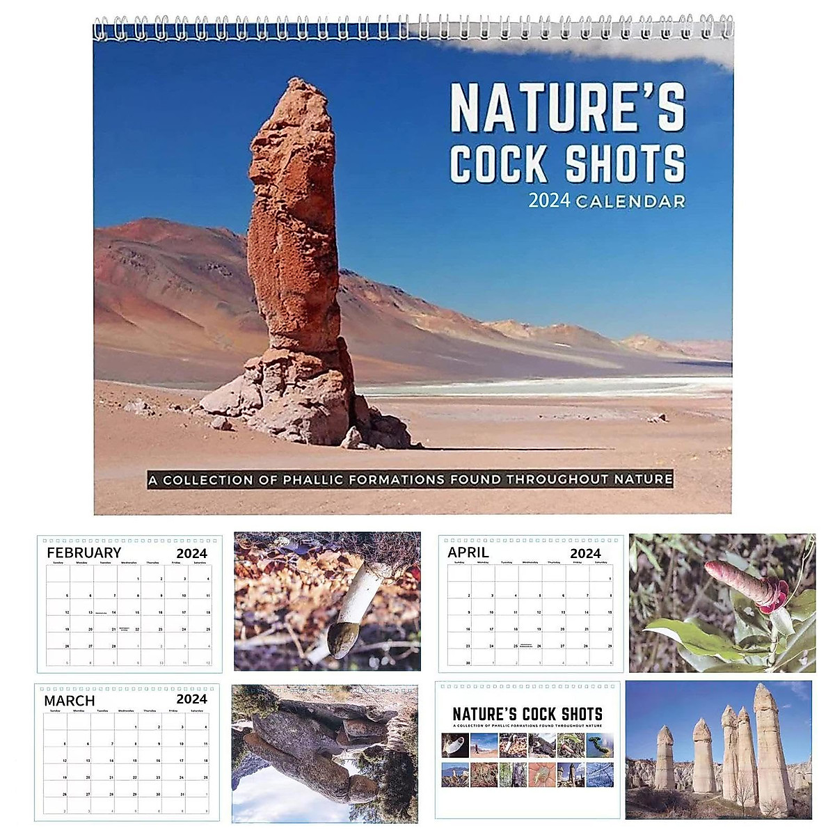 Nature's Dicks Calendar 2024, Nature's Cock Shots 2024 Calendar, Funny Calendar, Joke Present, Dicks Of Nature Wall Calendar, Hangable Wall Calendar Prank Gift