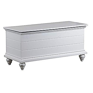 Cedar Storage Chest White Casual Transitional Rectangle Includes Hardware