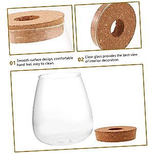 DOITOOL Indoor Propagation Desktop Water Plants Bonsai Home Planter Table Jar for Bottle Containers Nourishing Planting Bottles Microlandscape Small Airtight Flower Station Bryophyte Gift