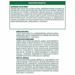 Garnier Hair Color Nutrisse Nourishing Creme, 100 Extra-Light Natural Blonde (Chamomile) Permanent Hair Dye, 2 Count (Packaging May Vary)