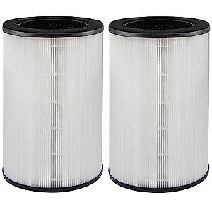 AP-T45 AP-T40FL Replacement Air Filter, 5-in-1 Air Purifier Compatible with 1461901 Homedics HEPA Filter AP-T40, AP-T45-BK, AP-T45WT, AP-T40WT, AP-T40WTAR, 2-Pack