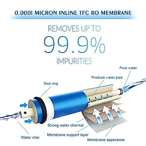 FS-TFC 5-Stage Reverse Osmosis Water Filtration System 100GPD Fast Flow Plus Extra 4 Filter for Free (FS-RO-100G-A)