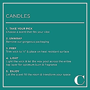 Caldrea Scented Candle, Made with Essential Oils and Other Thoughtfully Chosen Ingredients, 45 Hour Burn Time, Ginger Pomelo Scent, 8.1 oz