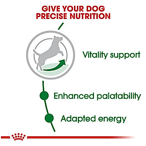 Royal Canin Small Adult 8+ Dry Dog Food, 2.5 lb bag