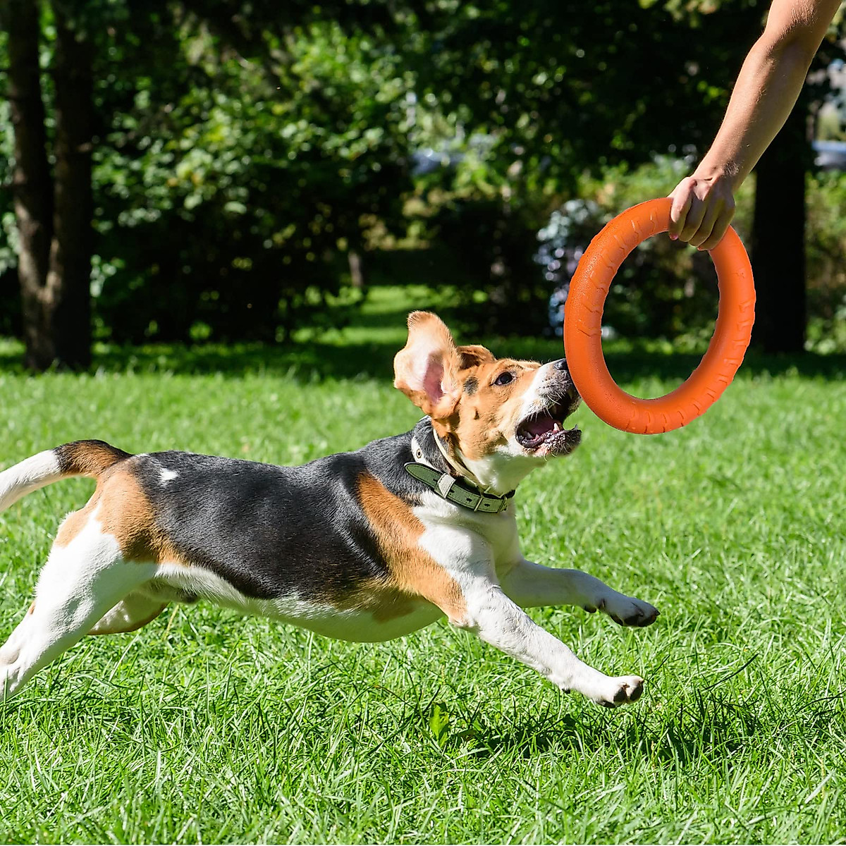 Leitee 2 Pack Dog Ring Toys Indestructible Dog Toys Dog Chewing Ring Toy Flying Discs Floating Dog Training Tools Pet Fetch Toy for Small Medium Large Dogs Throwing, Catching, Flying