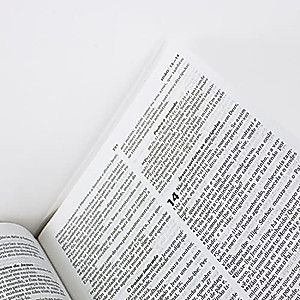 Bíblia Sagrada Almeida Revista e Atualizada: Almeida Revista e Atualizada (ARA)