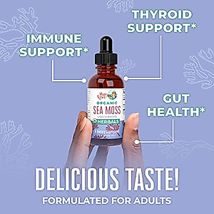 MaryRuth's Irish Sea Moss Liquid Drops | Sugar Free | SeaMoss for Gut Health and Immune Support | Formulated for Adults & Kids Ages 14+ | Unflavored | Vegan | Non-GMO | Gluten Free | 1 Fl Oz