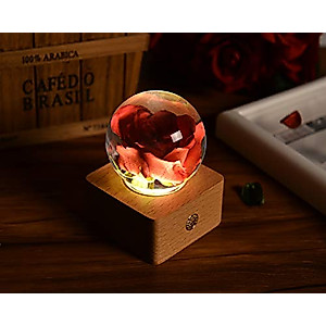 Ellington Gifts Real Preserved Flower Glass Ball Night Light | Dimmable Battery LED, Real Eternal Flowers, Birthday Gifts for Women Mom Girlfriend, Special Anniversary, Valentine's Day (Red Rose)