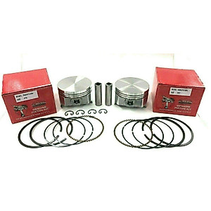 P216 P218 P220 B43 B48 Pistons, Gaskets & Seals Engine Rebuild Kit Fits Onan Engines