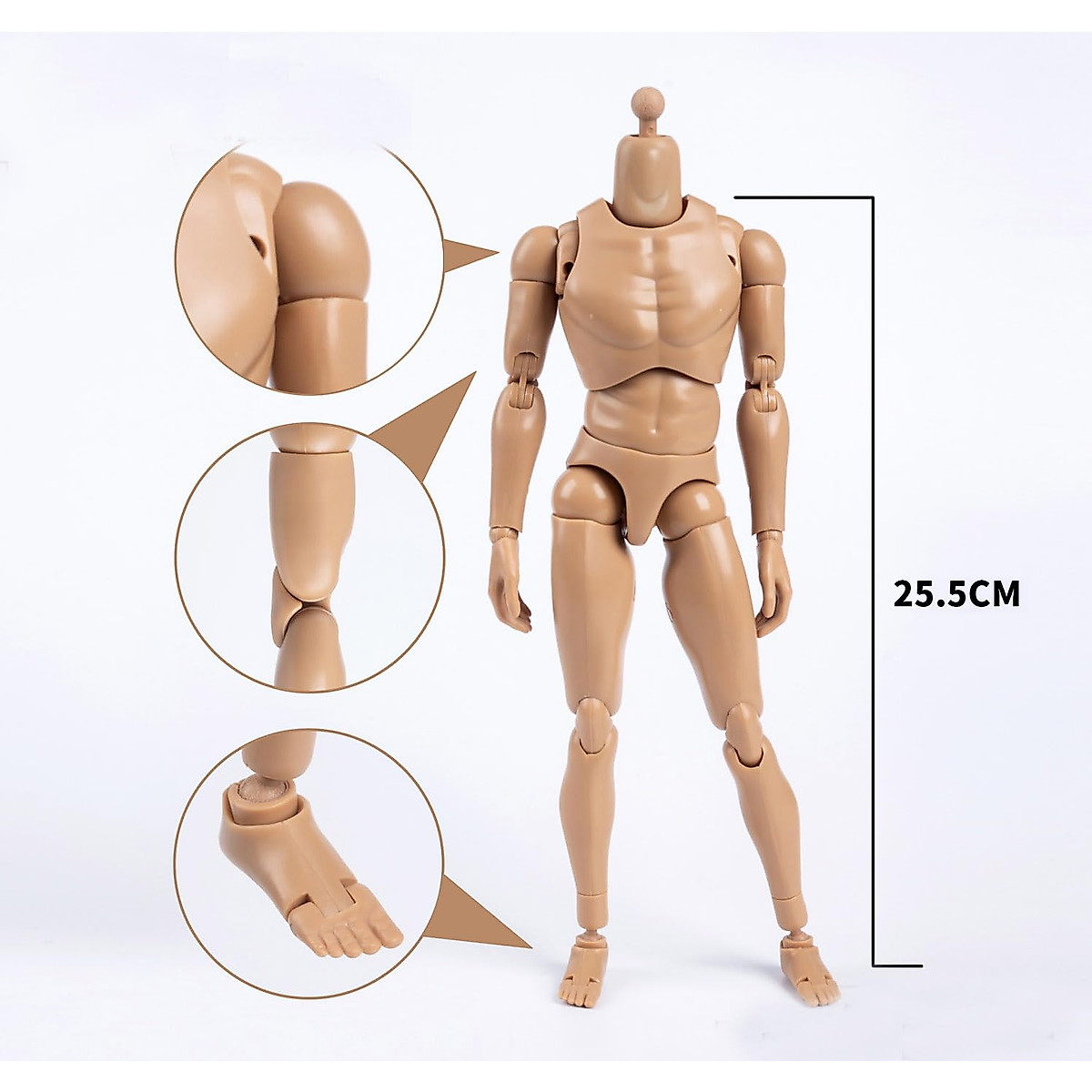 1/6 Scale Narrow Shoulder Male Body Doll Action Figure for TTM18 TTM19 Hot Toys & Human Body Sketch Model