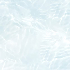 Dove Oxygen Moisture Shampoo 6 count Volumizes Fine Hair with Bio-Nourish Complex 12 oz