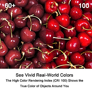 G8 Halogen Bulb 20W 120V Dimmable T4 JCD Type G8 Base Bi-Pin Xenon Bulb for Under Cabinet Puck Lights, Kitchen Hood, Landscape Lights, Warm White 2700K (10 Pack)