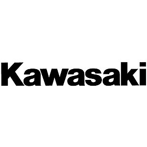 Genuine OEM KAWASAKI PARTS - Element-AIR Filter 11013-2199