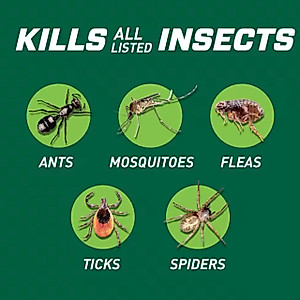 Ortho Bug B Gon Lawn & Landscape Insect Killer, 32 Fl oz. Ant, Flea, Tick, Flies, Spider Spray Mosquito Repellent Outdoor Patio, Home Defense Yard and Backyard, Pest Control + Pair of Safety Gloves