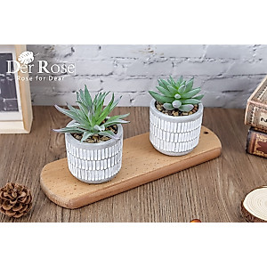 Der Rose Set of 2 Succulents Plants Artificial Fake Plants for Living Room Bathroom Bedroom Aesthetic Home Kitchen Decor