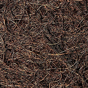 Bosmere Border Protection Edging Weed Mat, 10' x 9" Wide, Brown