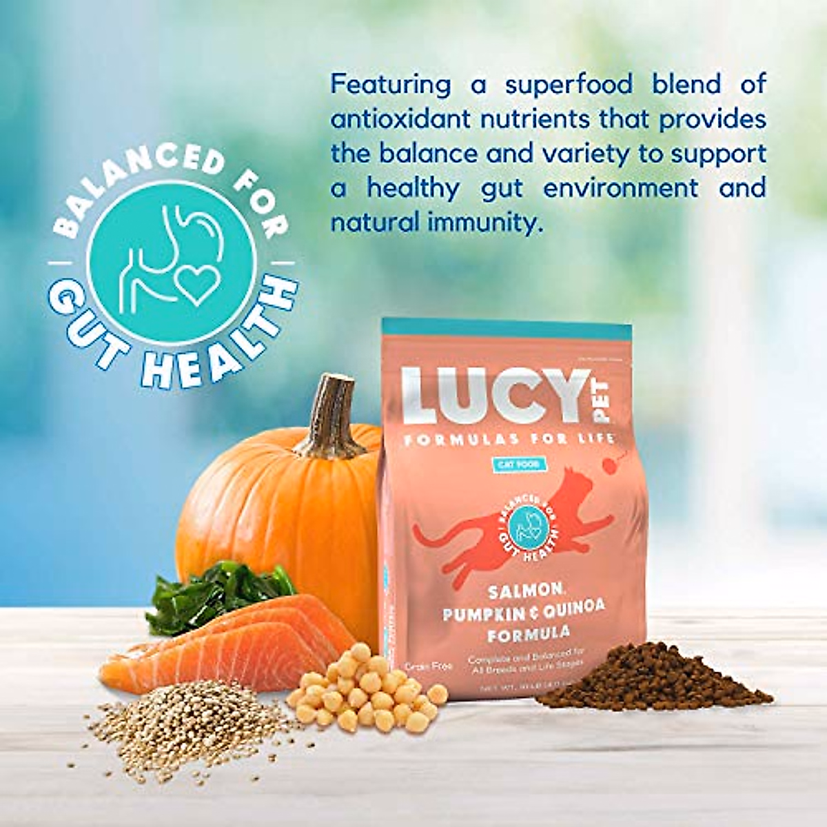 Lucy Pet Cat Salmon, Pumpkin, & Quinoa 10lb