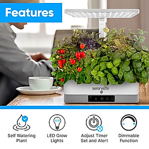 Hydroponic Herb Garden 6 Pods, Indoor Herb Garden Kit, Seed Pod, Indoor Garden, Full-Spectrum Grow Light, Adjustable Height, Hydroponic Indoor Garden, Smart Indoor Plant system