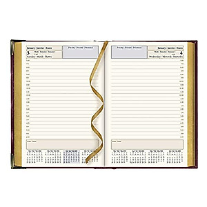 Brownline 2023 Executive Daily Planner, Appointment Book, 12 Months, January to December, Sewn Binding, 7.125" x 4.875", Assorted Colors, Trilingual (CBE504.ASX-23)