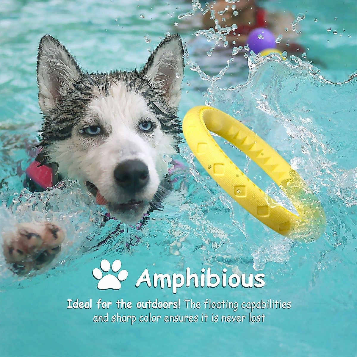 Fluffy Paws Dog Chewing Ring - Soft Rubber Ring Dental Chewing Teething Biting Chasing Training Toy for Small and Medium Dog Puppy - 10", Yellow