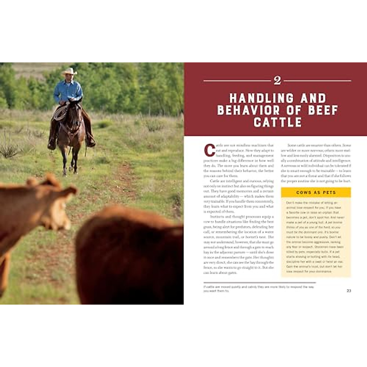 Storey's Guide to Raising Beef Cattle, 4th Edition: Health, Handling, Breeding