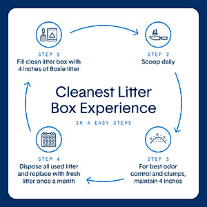 Boxie® Eco™ Farm to Box Sustainable 30 Day Odor Control Clumping Cat Litter, 6.5lb Boxiecat 99.9% Dust Free Plant-Based Kitty Litter