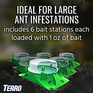 TERRO T1806SR 2-Pack Outdoor Liquid Ant Baits-12 Traps