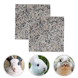 STOBOK 2Pcs Pet Cooling Mat, Granite Material, 9x9cm, Rabbit, Hamster, Chinchilla