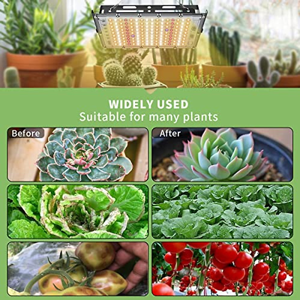 alaghi Grow Light for Indoor Plant, 144 LED Full Spectrum Grow Light,Grow Lamp with On/Off, Suitable for Indoor Plants,Outdoor Gardens,Growing Tents,Greenhouse Planting (A400)