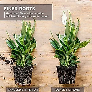 UBICON Easy to Use Compressed Coco Coir Organic Top Soil for Indoor and Outdoor; Each Brick Gets 7 Quarts, Excellent Aeration, Reduces Weed Growth, and Retains Water (1, Brick),Brown