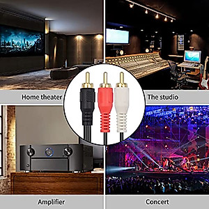 Poyiccot RCA Splitter Male to Male Cable, RCA Y Splitter 1 RCA Male to 2 RCA Male Stereo Audio Subwoofer Cable, 2RCA to 1RCA Bi-Directional RCA Y Adapter Cable - 25cm/10inch