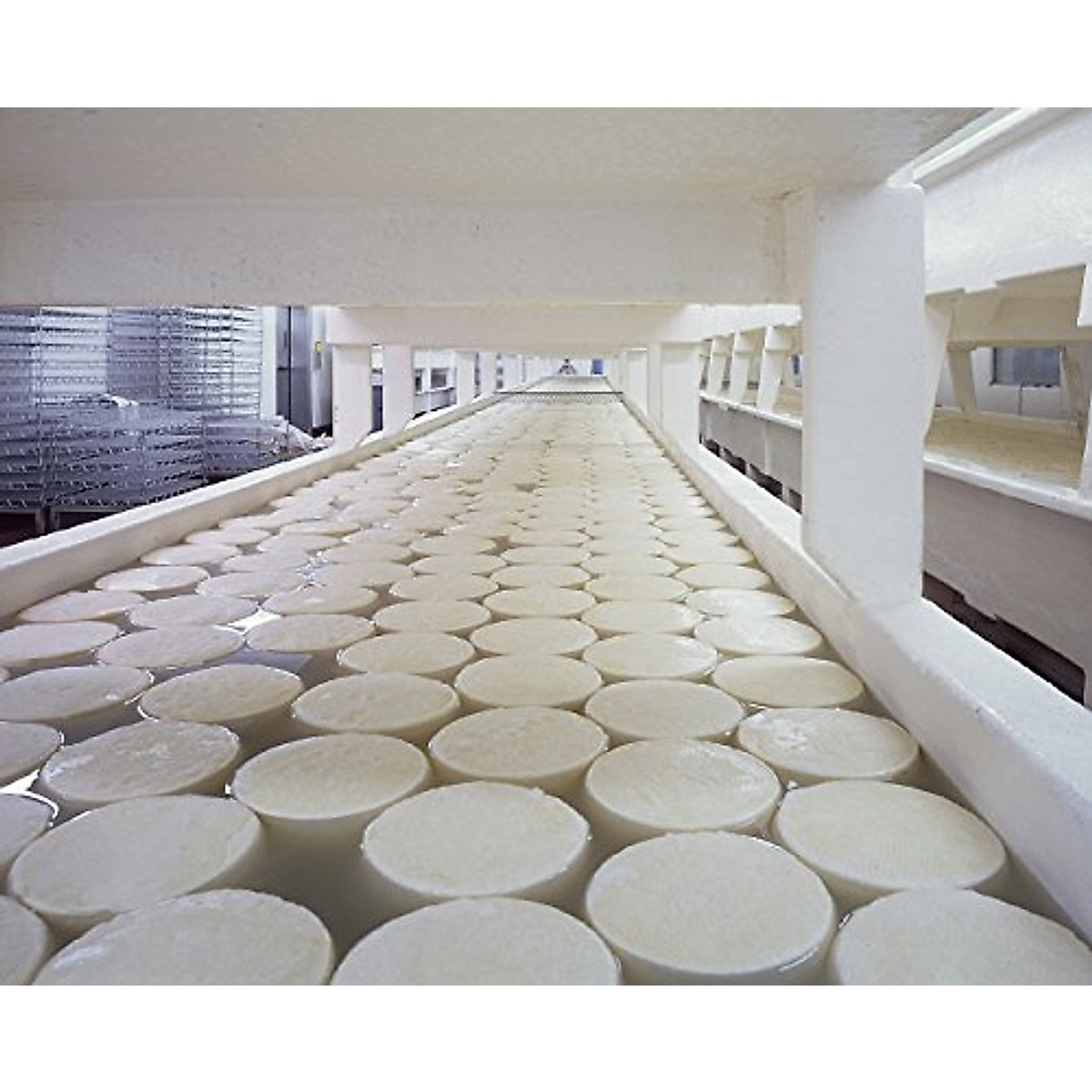 rennet ideal Microbial Liquid RENNET Ideal Coagulant 30ml add 2ml per 1 gallon of milk