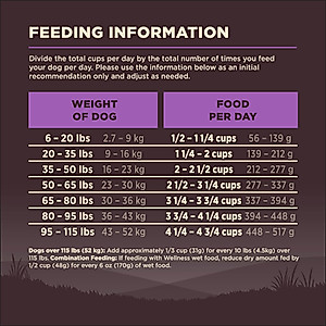 Wellness CORE Grain-Free Senior Dry Dog Food, Made in USA with Natural Ingredients, No Meat by-Product, Fillers, Artificial Flavors, or Preservatives (12-Pound Bag, Turkey)