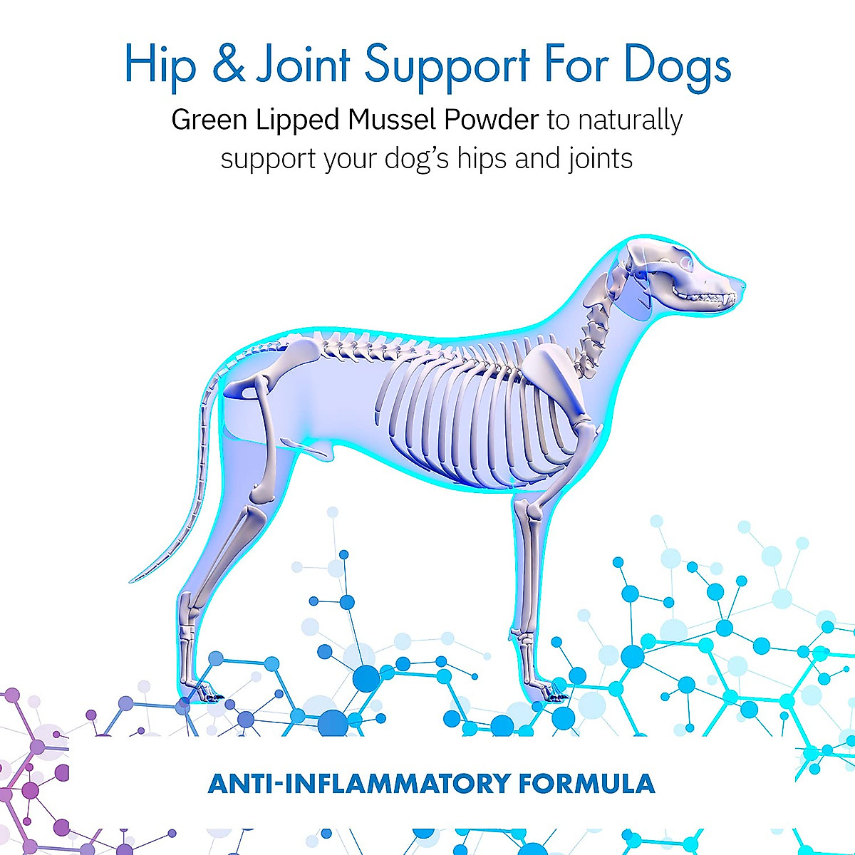 Equa Holistics Green Lipped Mussel Powder for Dogs, All-Natural Hip & Joint Support Dietary Supplement Formula for Dogs (120 Servings)