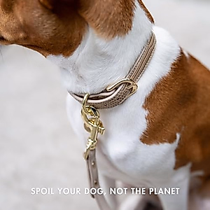 Nina Woof Milan Vegan Leather Dog Leash, 4ft Padded Slim Dog Lead, Vegan Crocodile Leather, Dog Leash for Small Dogs, Lightweight Dog Leashes for Medium Dogs, Thin Dog Leash, Beige