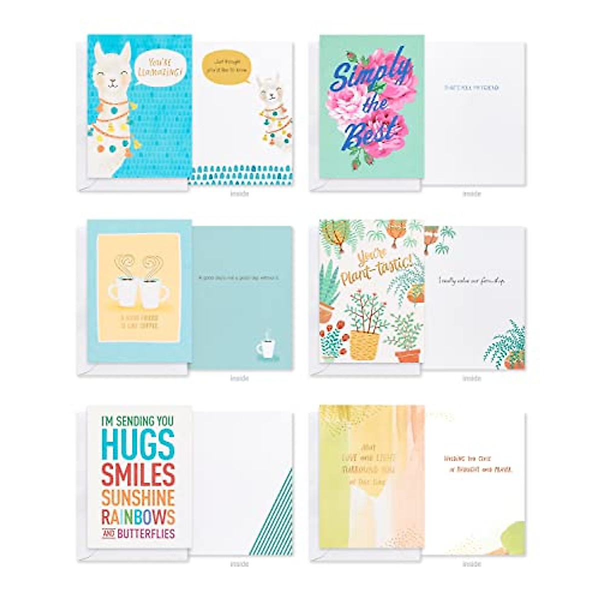 American Greetings Deluxe All Occasion Cards with Envelopes - Birthday, Thanks, Congrats and More (40-Count)