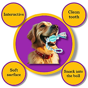 FuryPet - Dog Toys, Treat Dispensers, Rope Ball Dog Toy, Dog Yard Toys, Ball on Rope Dog Toy, Best Outdoor Toys for Dogs, Puppy Teething Chew Toy, Puppy Teething Toy Small and Medium Breeds(Green)